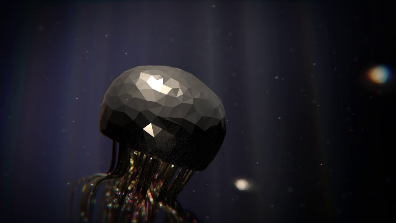 Jellyfish Evolution - YouTube