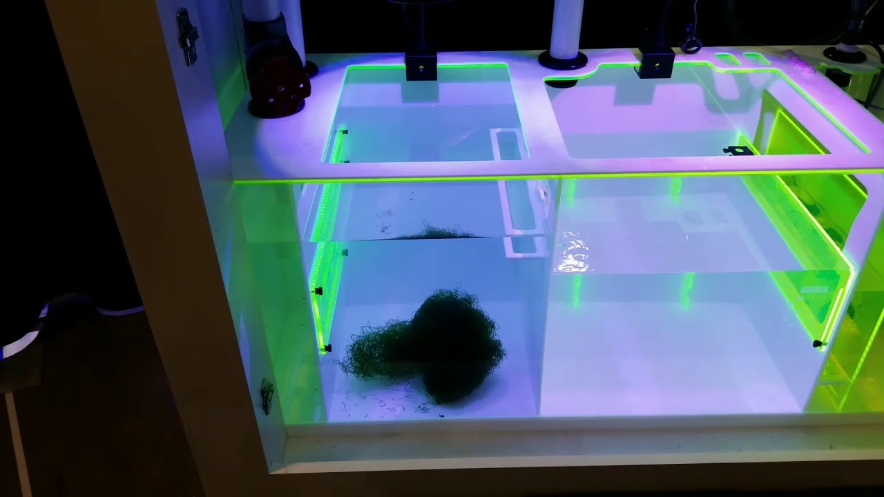 Synergy Reef TS 44 Sump. Triton style sump. - YouTube