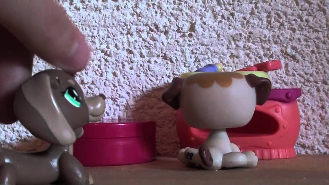 LPS: Vampire (Episode 1) - YouTube