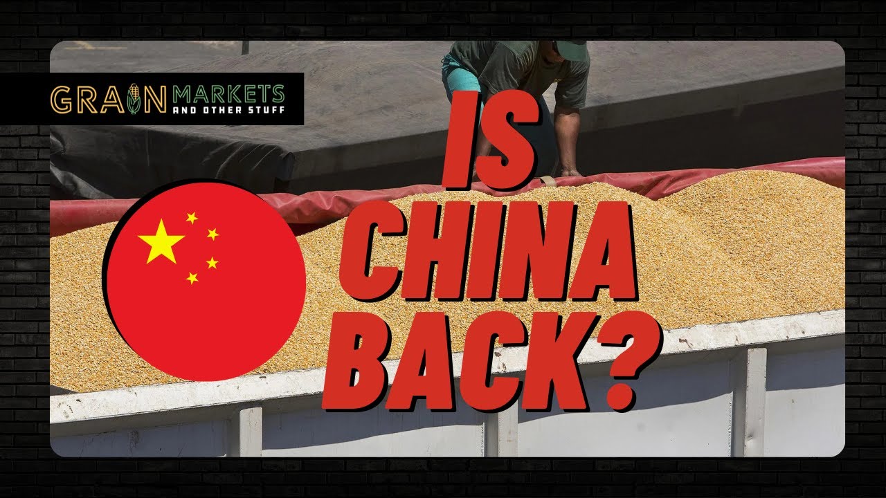 Is China BACK?? (Corn Purchase Rumors) - YouTube