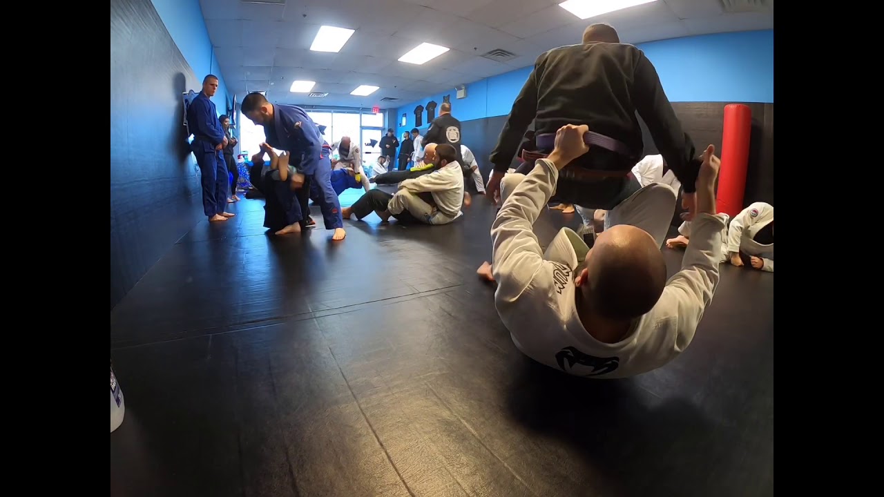 Wolf Brazilian Jiu Jitsu Grand Opening Seminar - YouTube