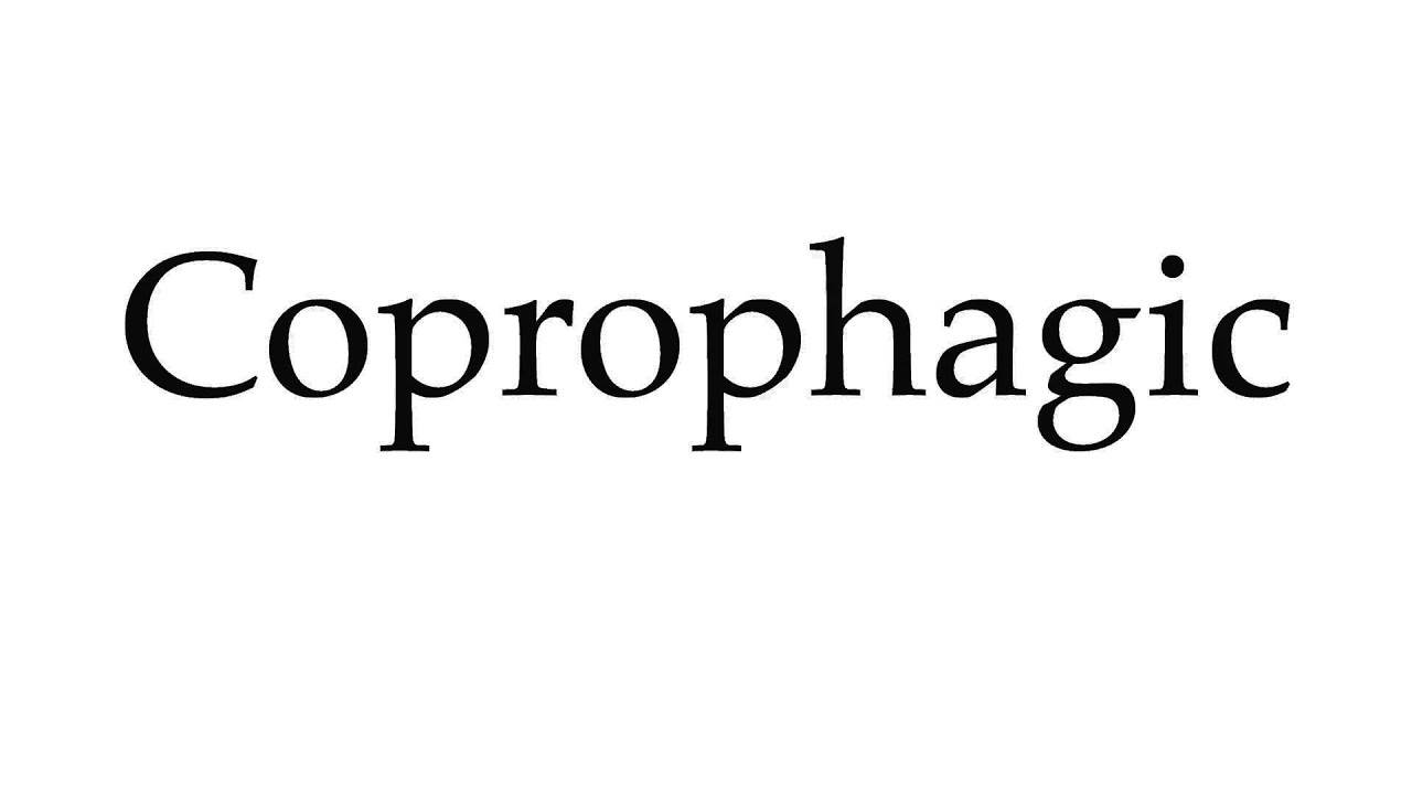 How to Pronounce Coprophagic - YouTube