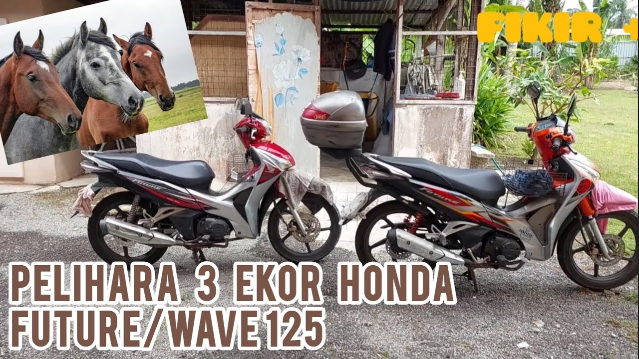 PELIHARA 3 EKOR HONDA FUTURE/WAVE 125 - YouTube