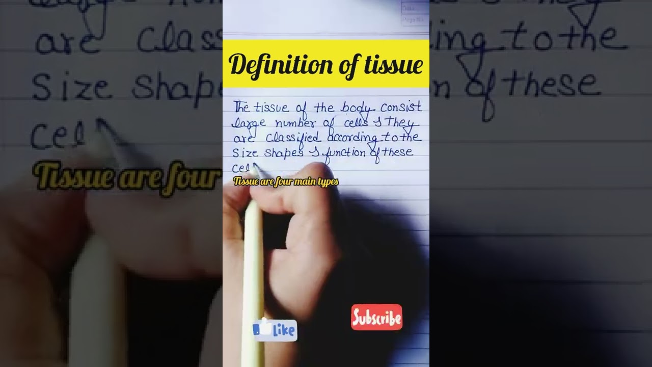 #Definition of tissue and it's types#short video - YouTube