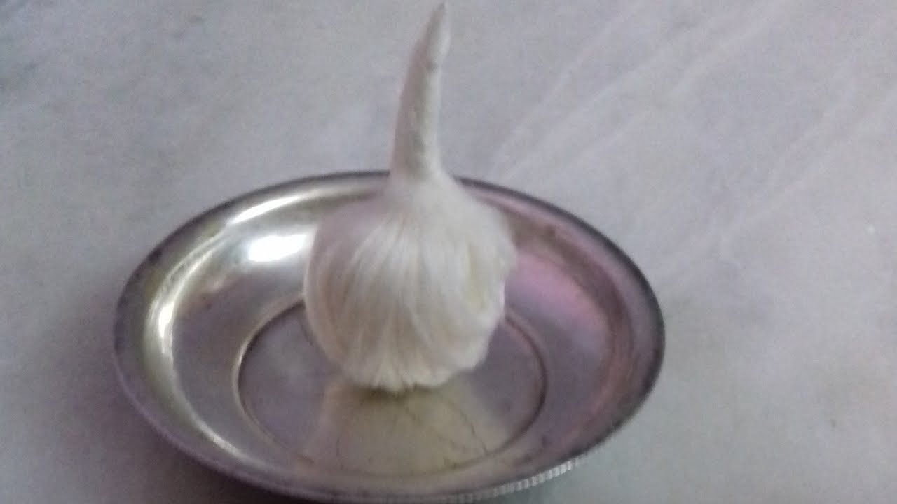 365 tenkaya vathi - YouTube