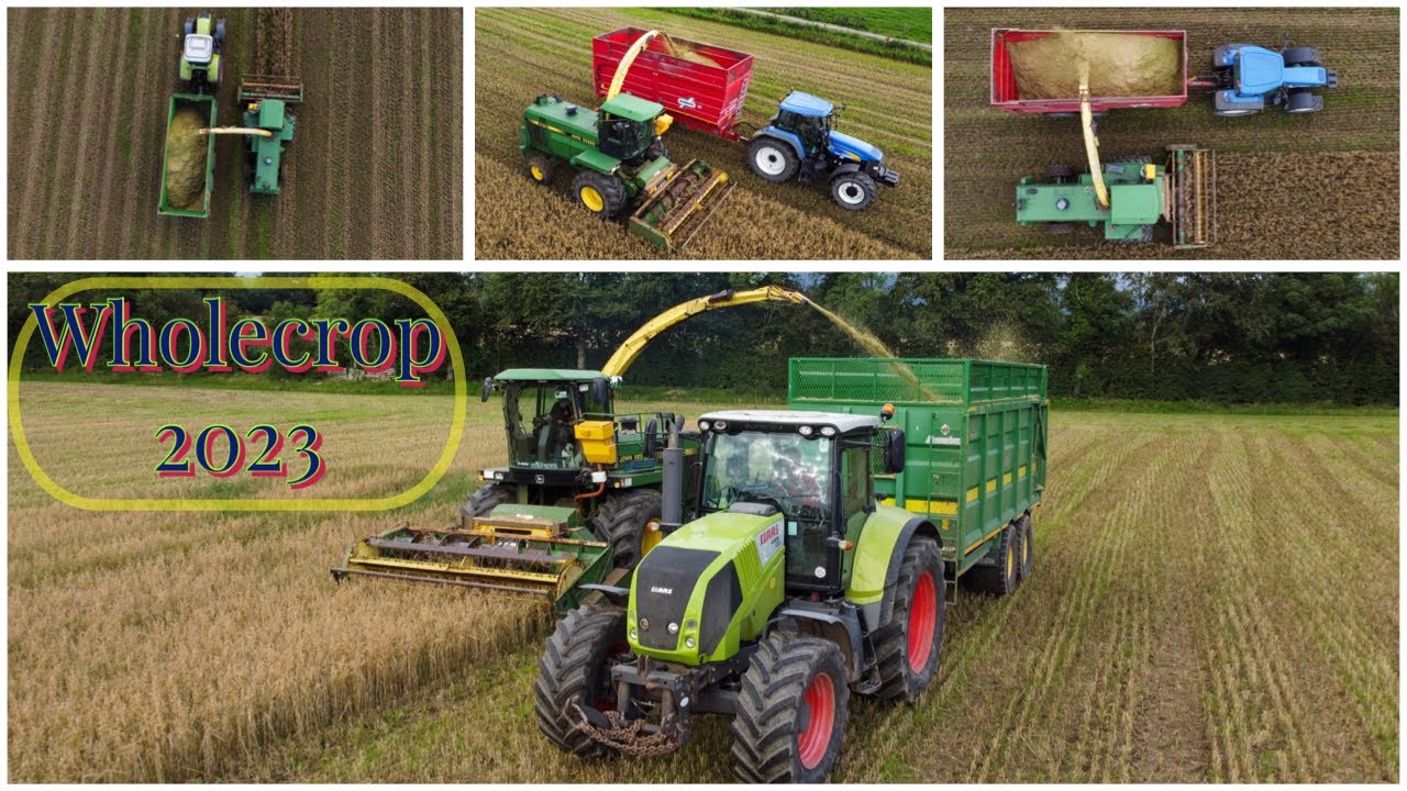 Whole Crop Silage 2023 ~ John Deere 6810, Mint New Holland tm190 ~ 4k ...
