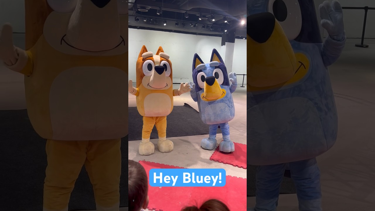 Hey Bluey and Bingo live on stage kids show Meet & greet #vlog # ...