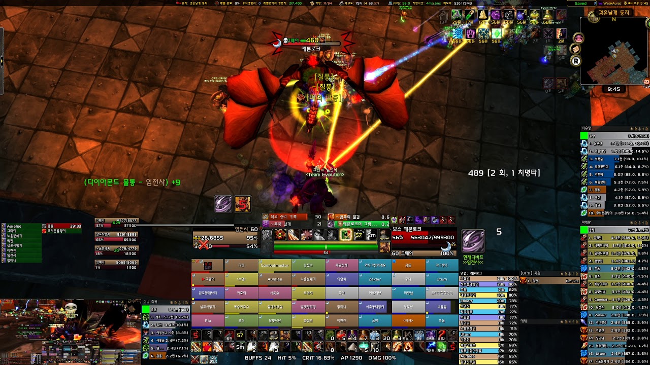 와우 클래식 임력사무소 임전사 검둥 막공 에본로크(wow classic Blackwing Lair Ebonroc ...