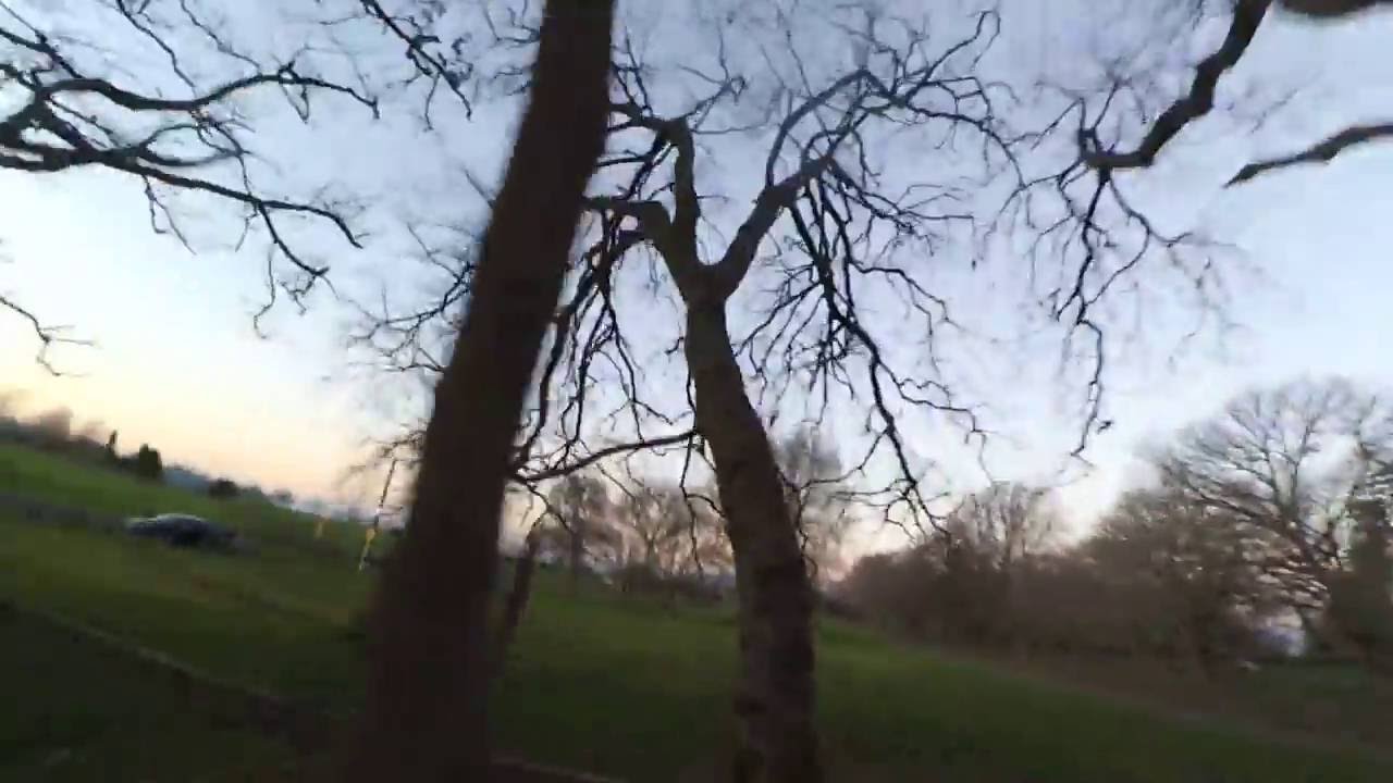 FPV practice (ghost branch forest) - YouTube