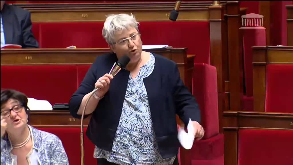 Elisabeth Pochon - Examen de la réforme pénale: article 11 bis - 11/06 ...