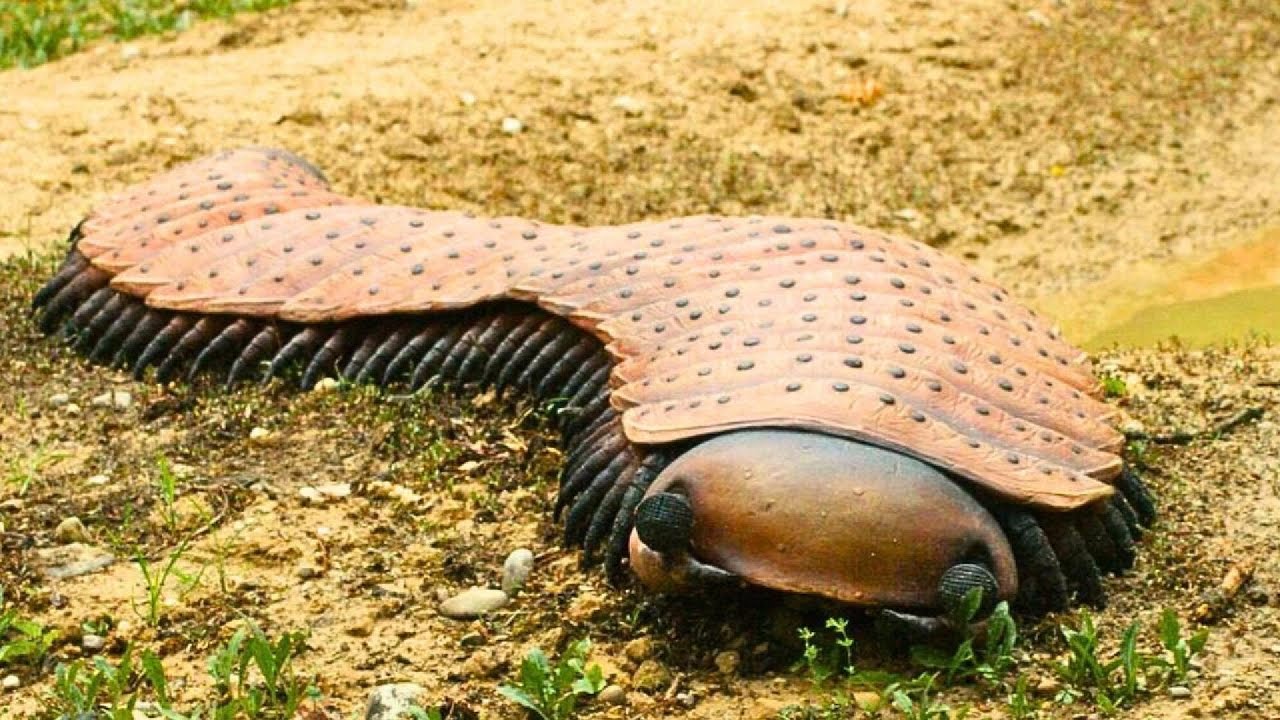 Top 10 Prehistoric Predators with Unbelievable Strength! - YouTube