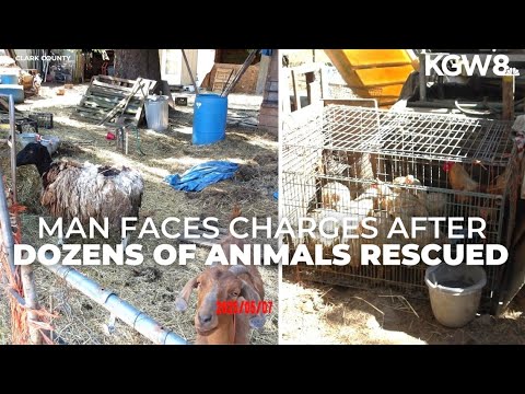 Man faces 45 counts of animal cruelty after dozens of animals rescued ...
