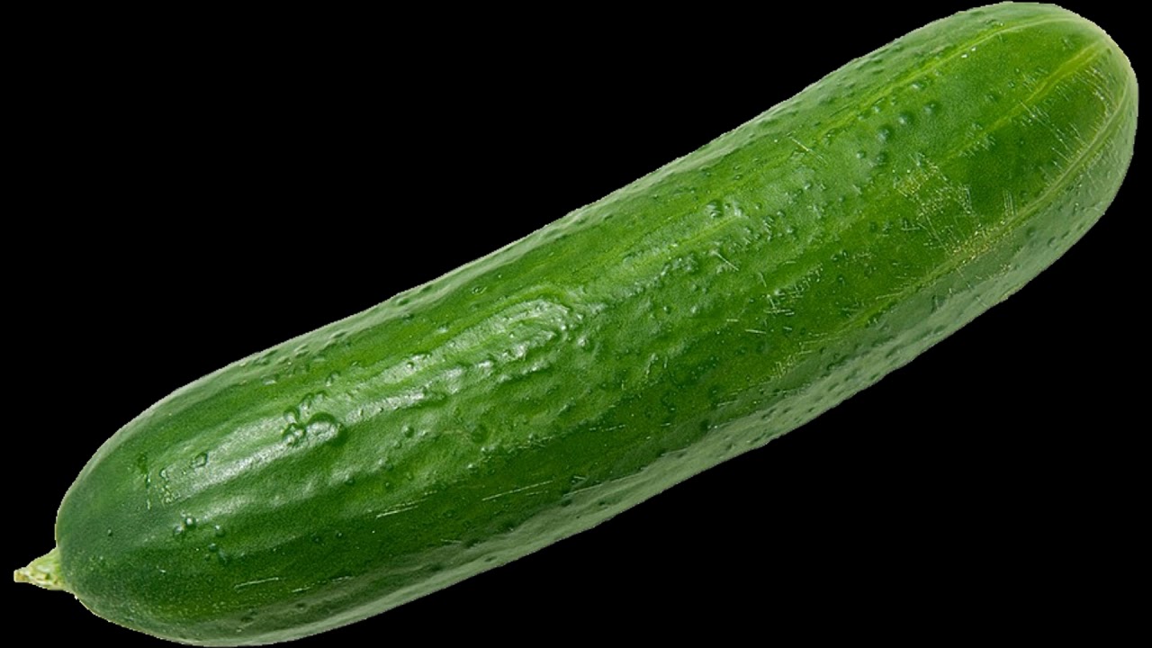 Krastavica - Zoran Kocev - YouTube