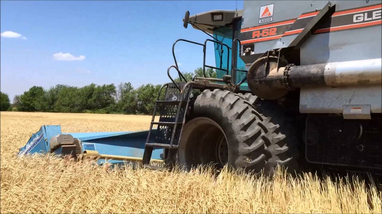 Inland View Farm - 2016 Wheat Harvest - YouTube