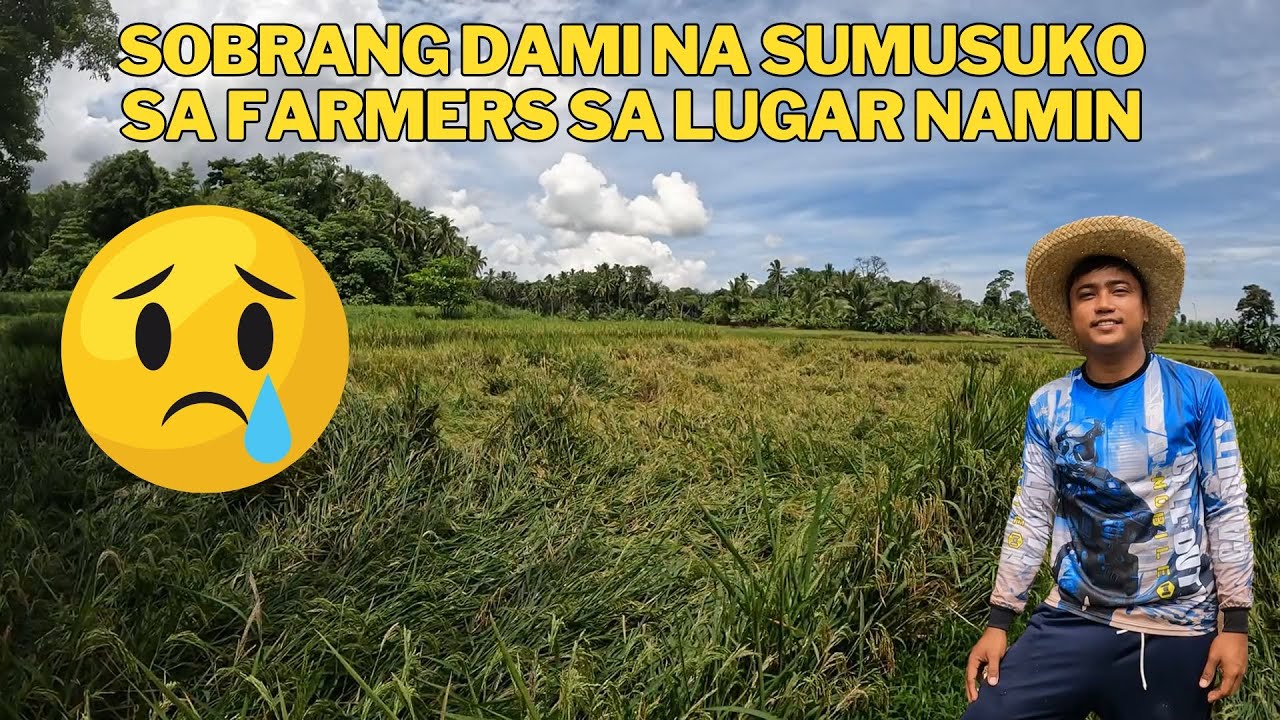 SOBRANG DAMI NA SUMUSUKO NA FARMERS DAHIL SA KALAMIDAG AT SA MABABANG ...