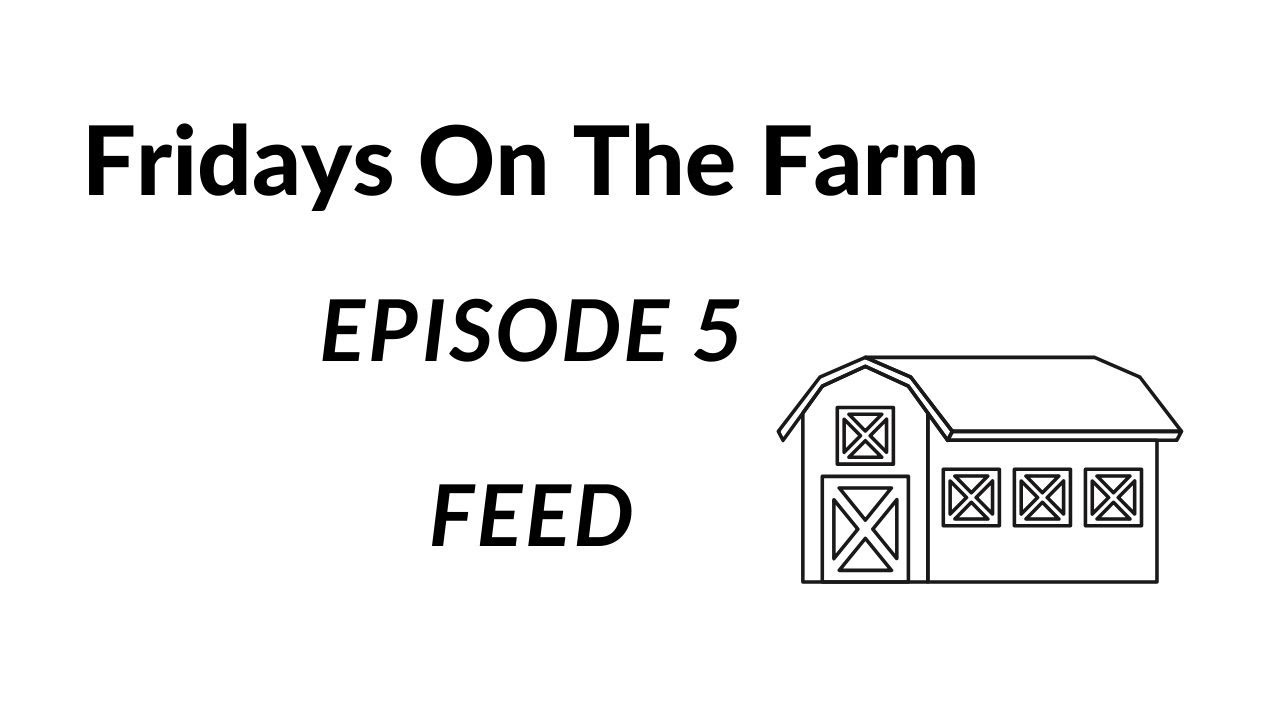 Fridays on the Farm Ep. 5 Cow Feed - YouTube