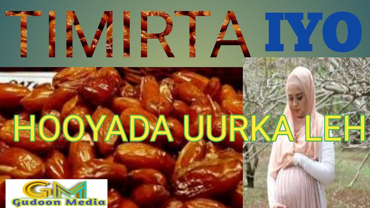 TIMIRTA IYO MAAMADA UURKA LEH - YouTube