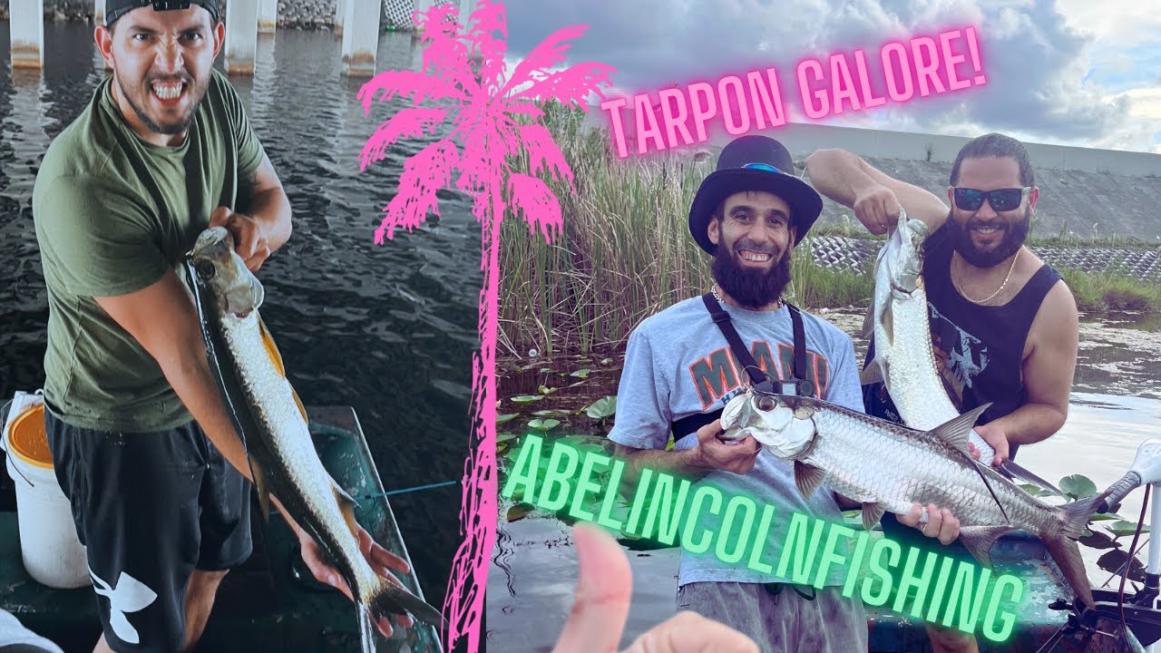 Catching tarpon in a SECRET spot In MIAMI 👀 - YouTube