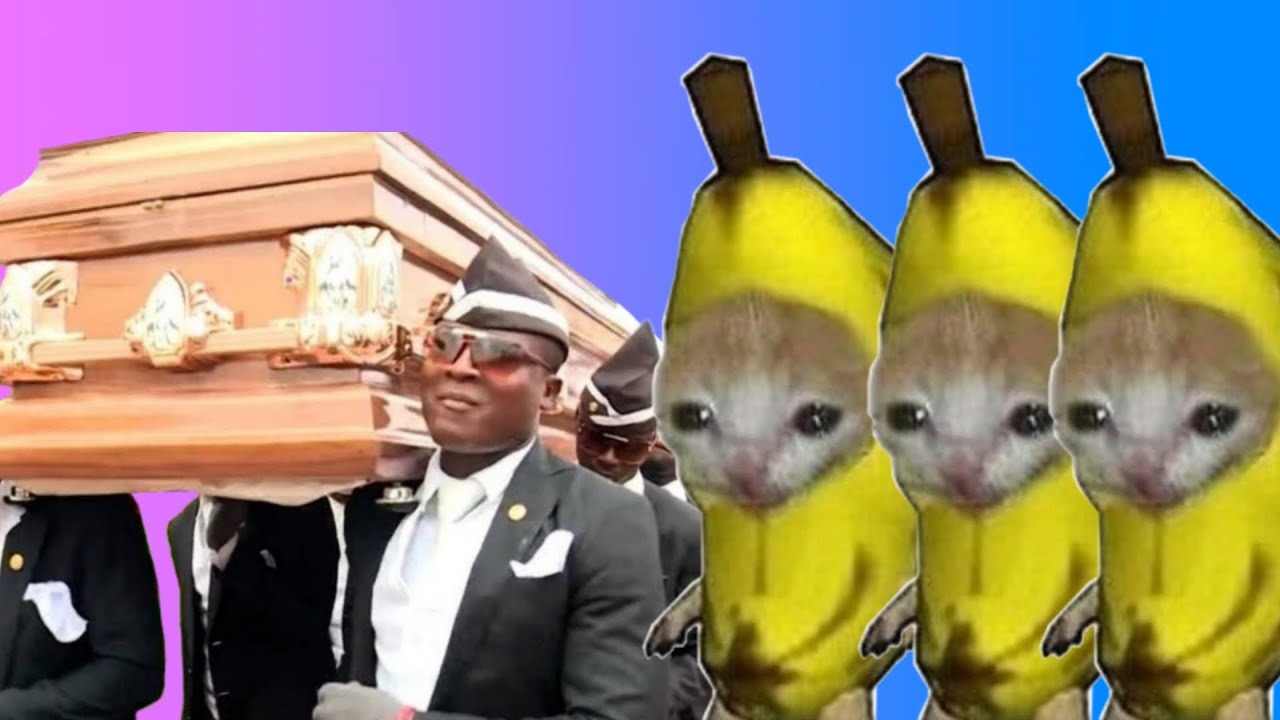 Banana Cat Coffin Dance (SONG COVER) - Coffin Dance COVER - YouTube