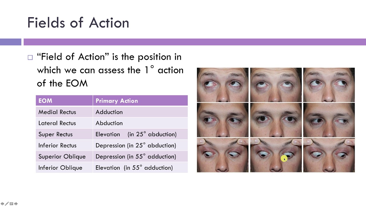 Fields of Action - YouTube