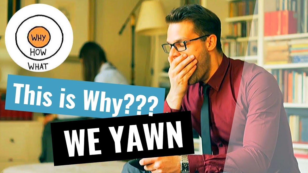 Why do we yawn? | KNOW THE REASON - YouTube