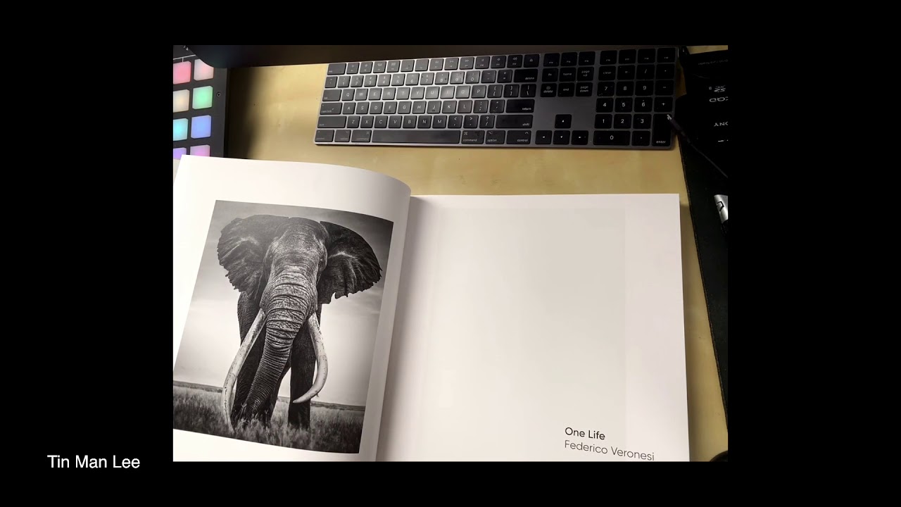 Wildlife Photography Series: Federico Veronesi's new book "One Life ...