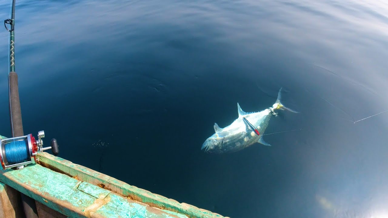AMAZING FISH HUTING DAY GOT A QUEEN FISH BACK 2 BACK| KARACHI FISHING ...