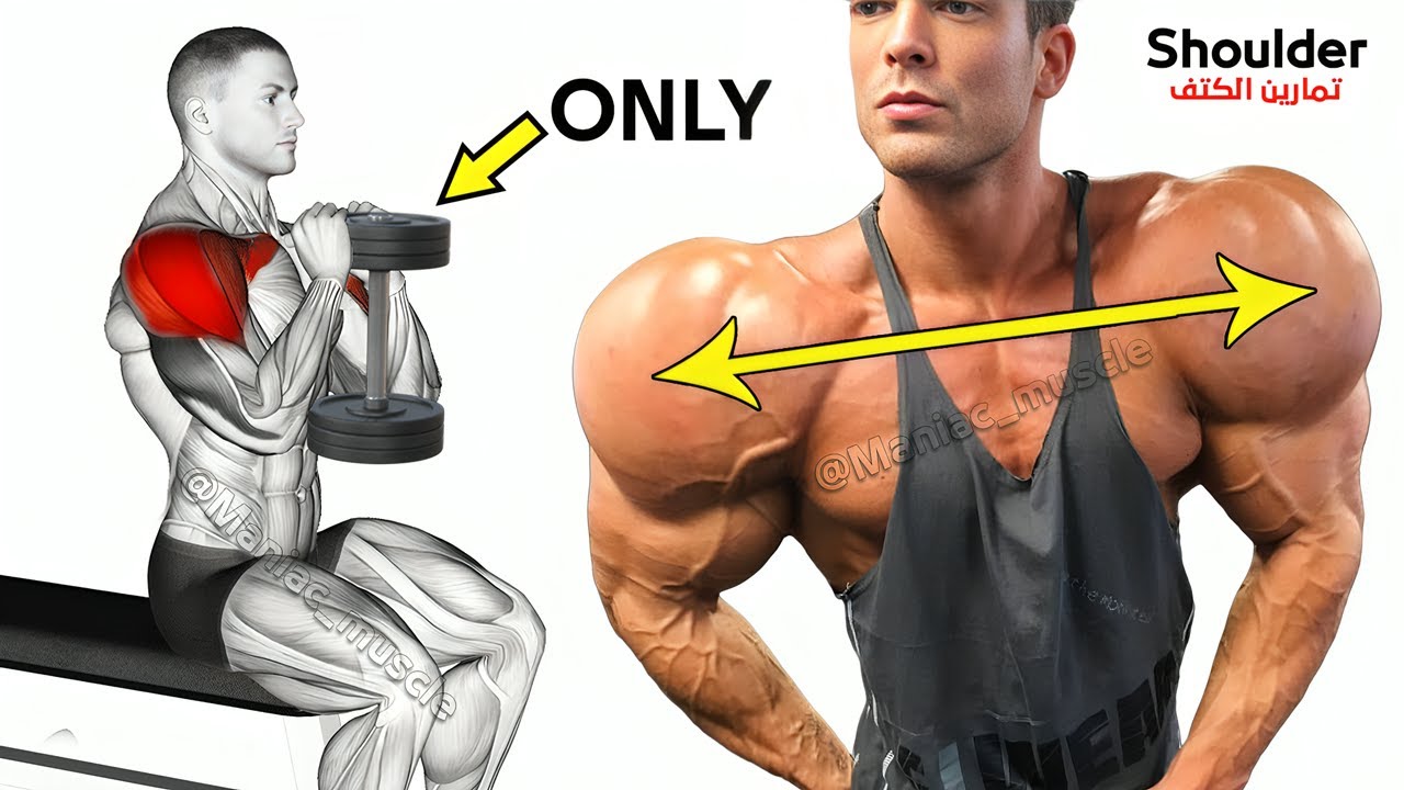 How to Build a Shoulder workout with Dumbbells (Effective Exercises ...