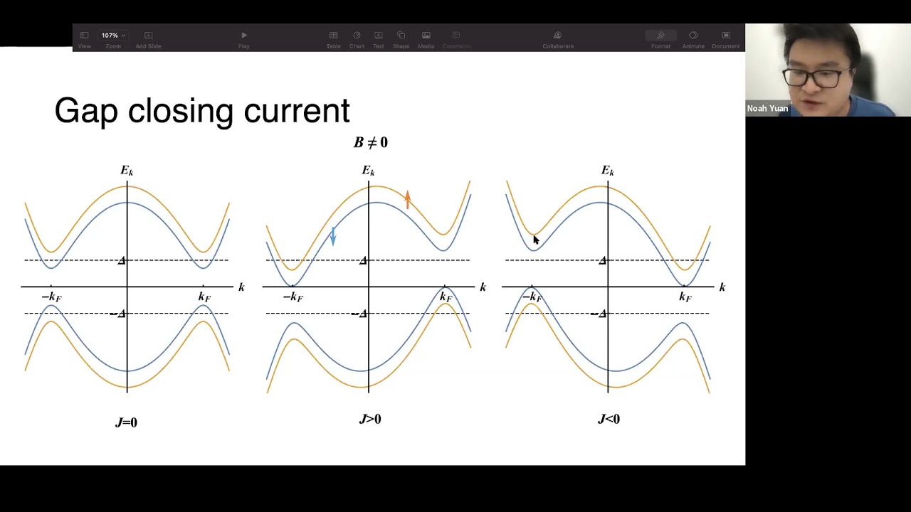 “Supercurrent diode effect and finite momentum superconductivity” by ...