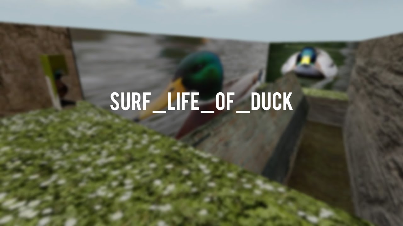 surf_life_of_duck in 0:36.09 - YouTube