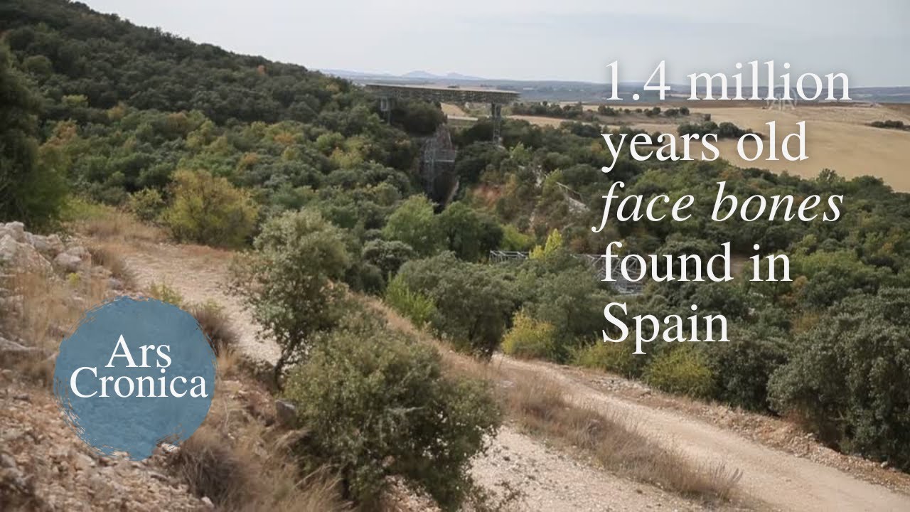 1.4 million years old face bones found in Spain - YouTube