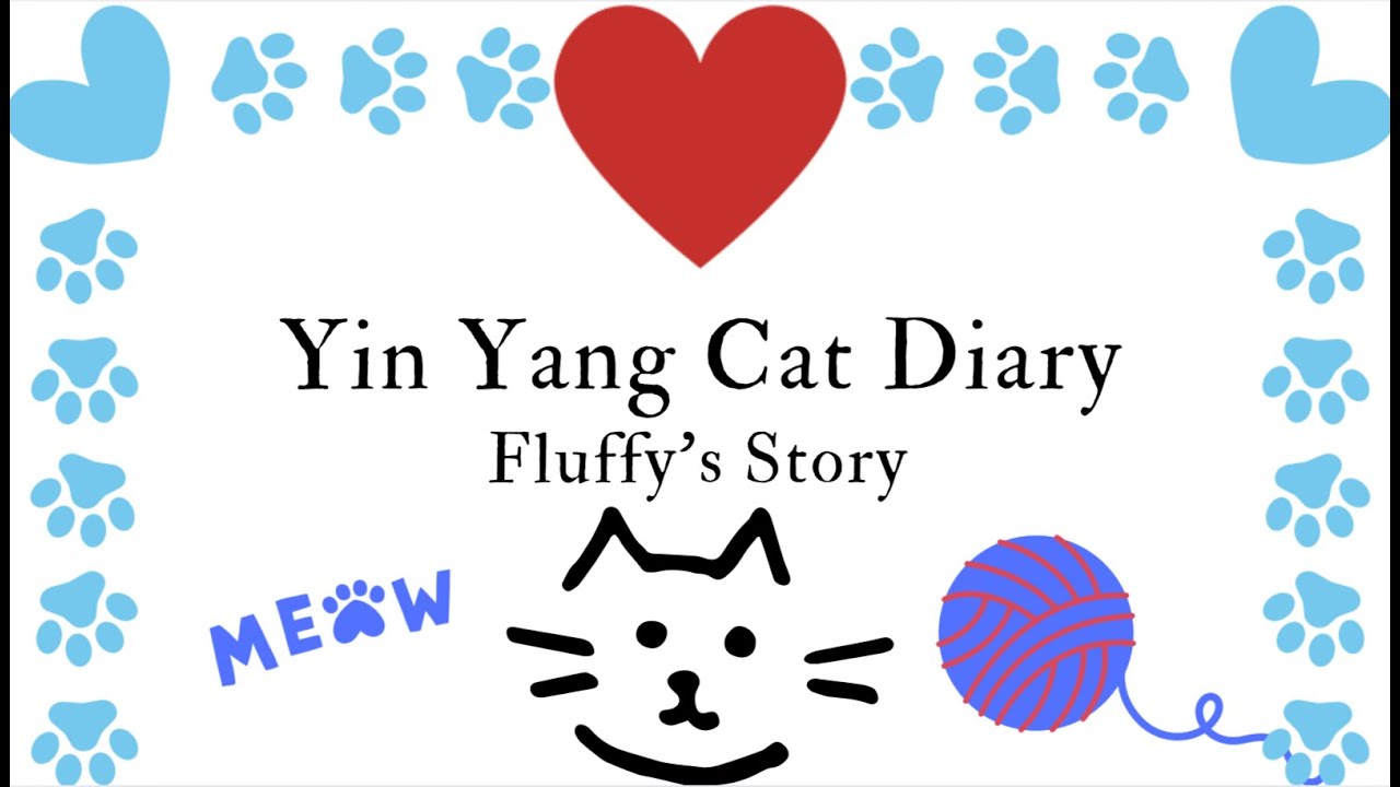 Yin Yang Cat Diary | Fluffy’s Story - YouTube