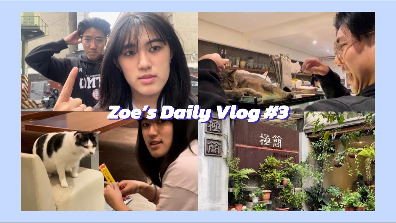 Zoe's vlog | Ep.3 跟閃 一起去貓咖 - YouTube