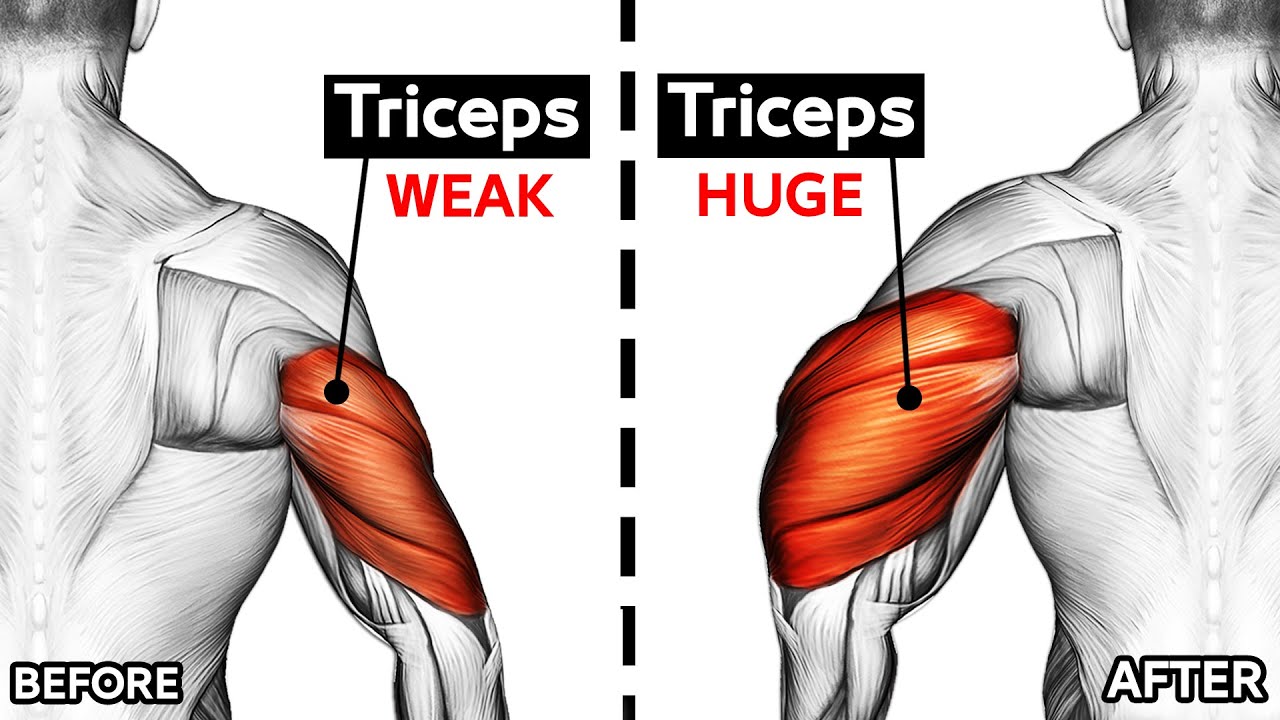How To Build Your WIDER Triceps workout AT GYM (Effective Exercises ...