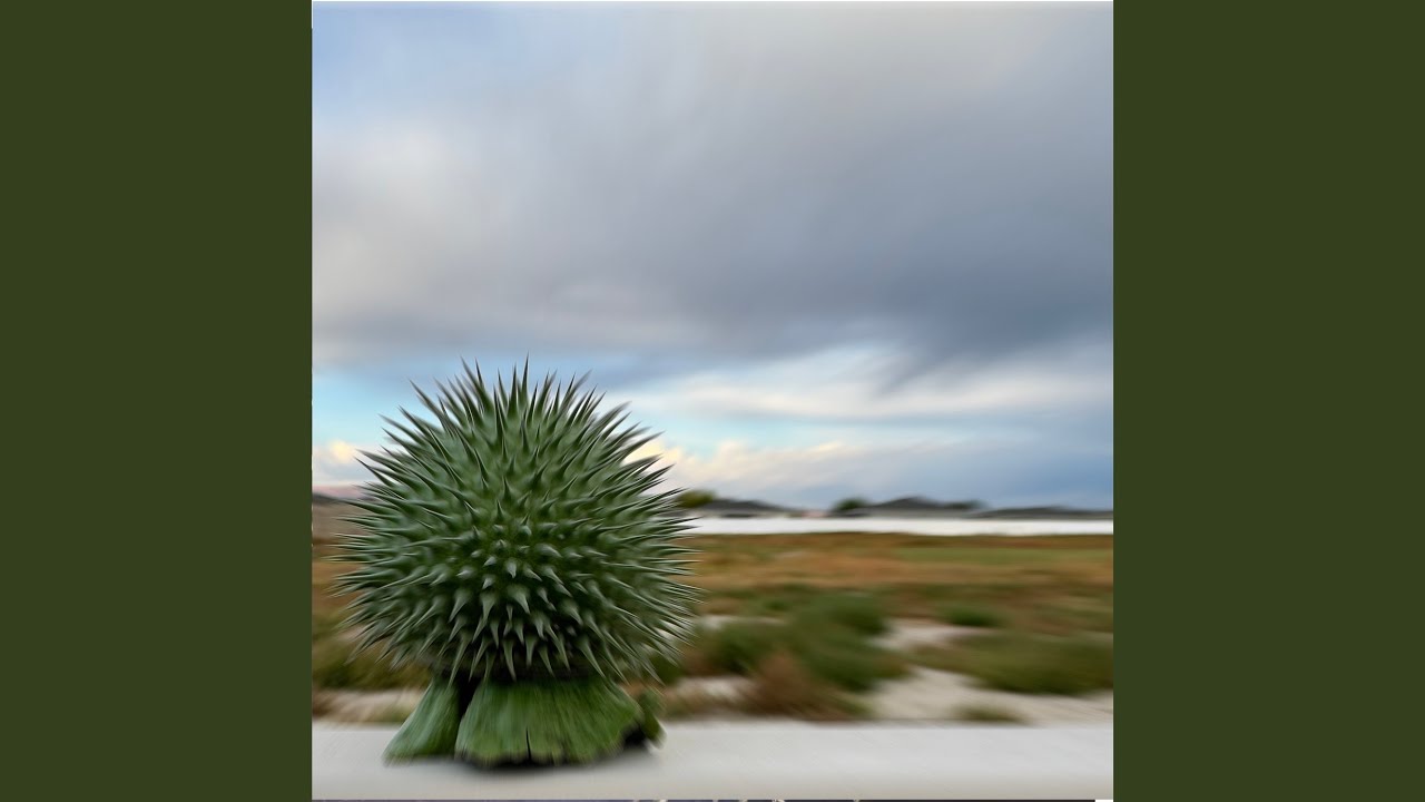 The Dowser - YouTube