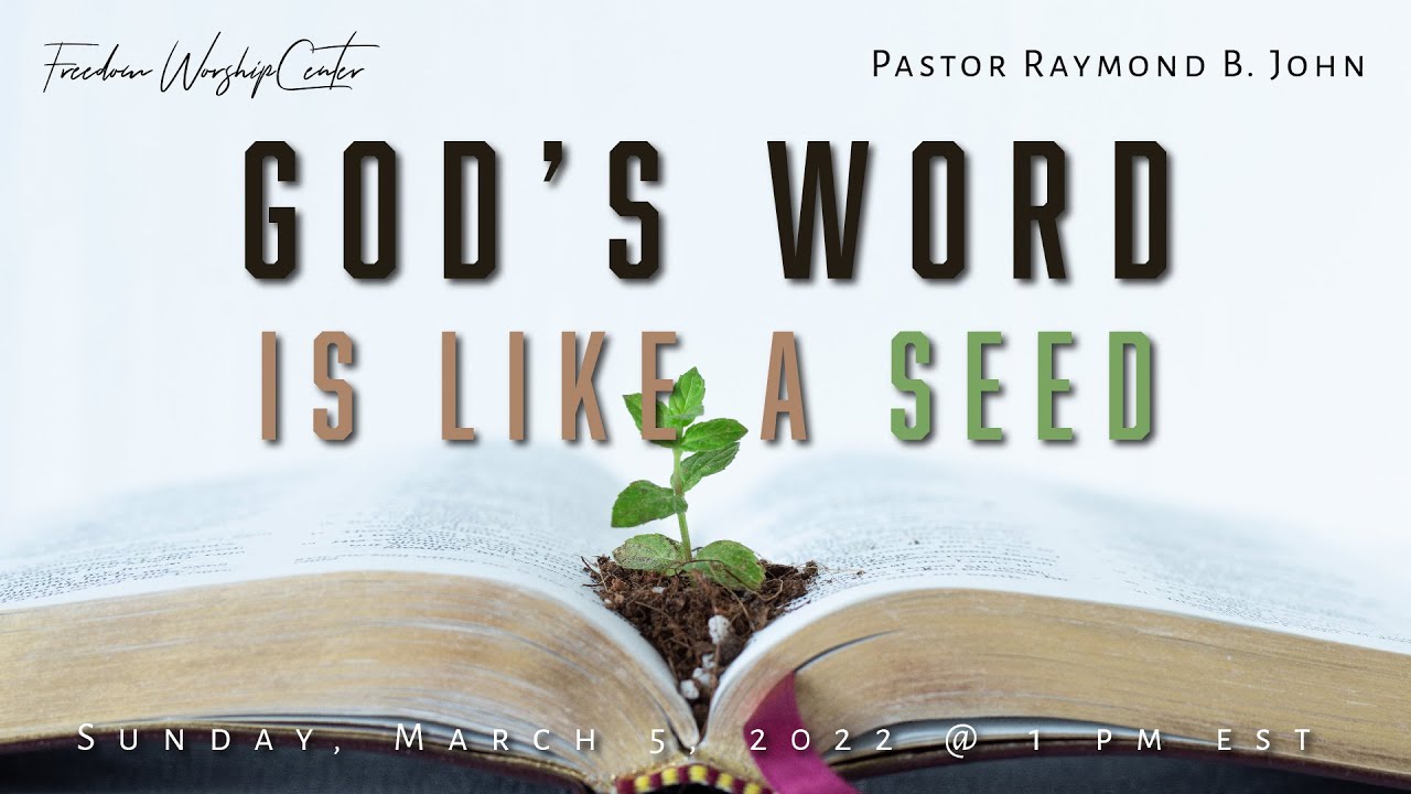🔴 Pastor Raymond B. John LIVE | God's Word is like a Seed - YouTube