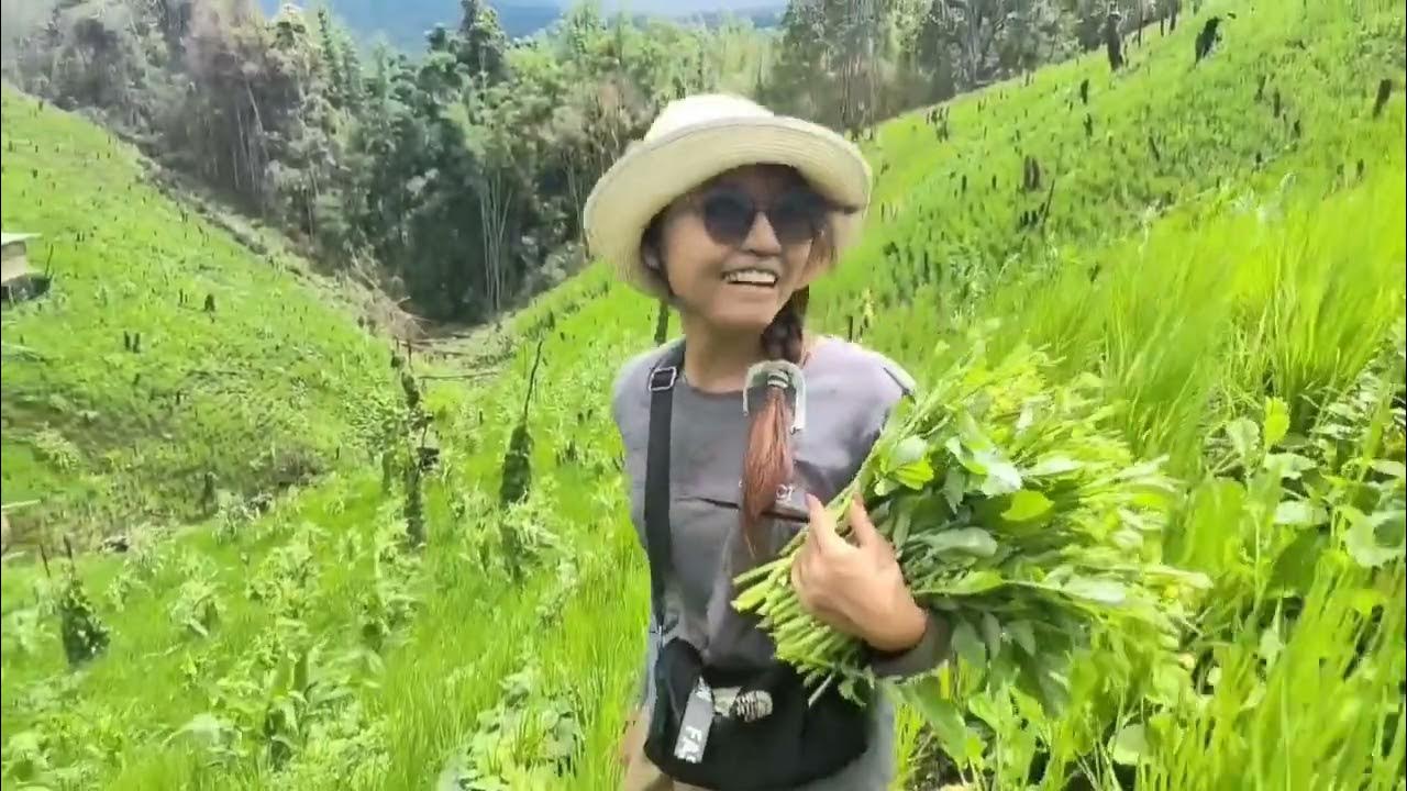 လဲၤကျီ သဘၣ်ဒိး လၢကမၤသဘၣ်ဆၢအဂီၢ်် Youtube