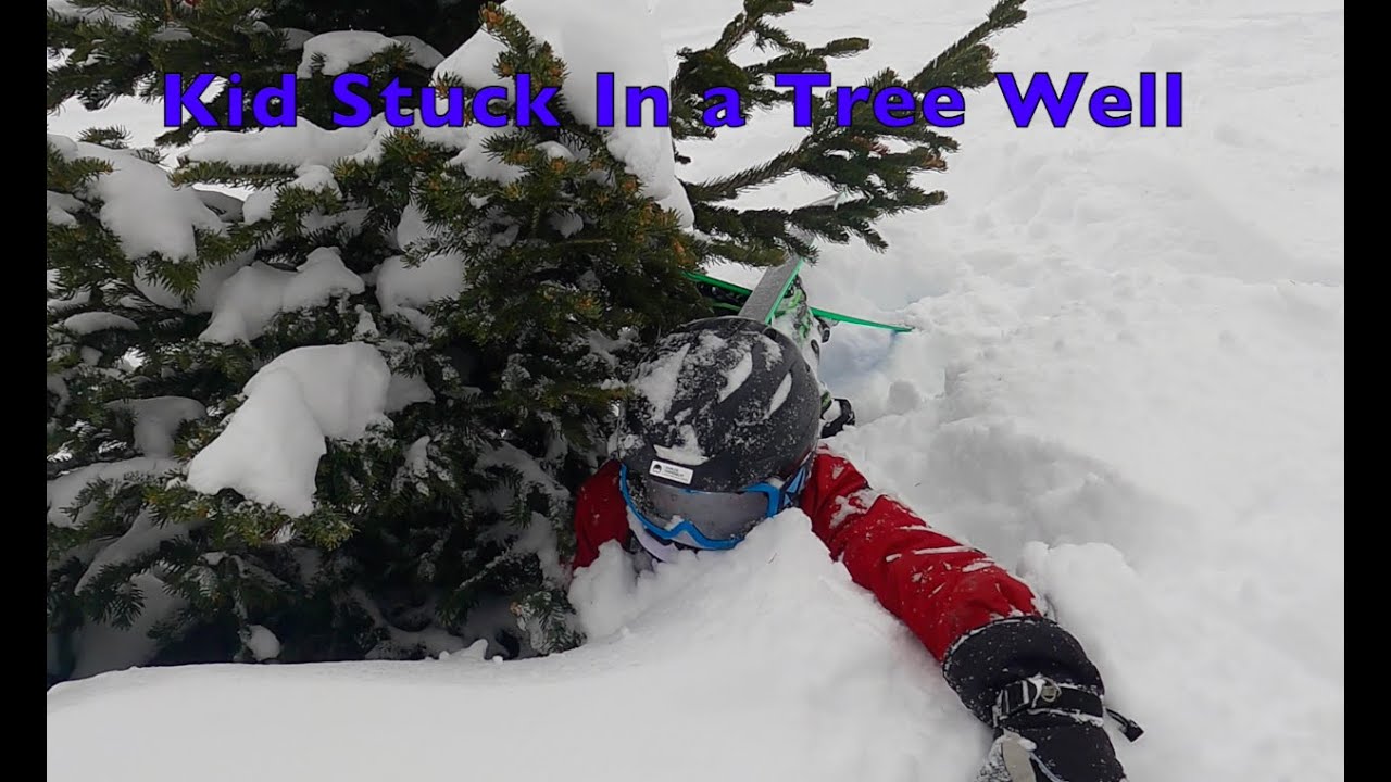 Kid Stuck in a Tree Well - YouTube