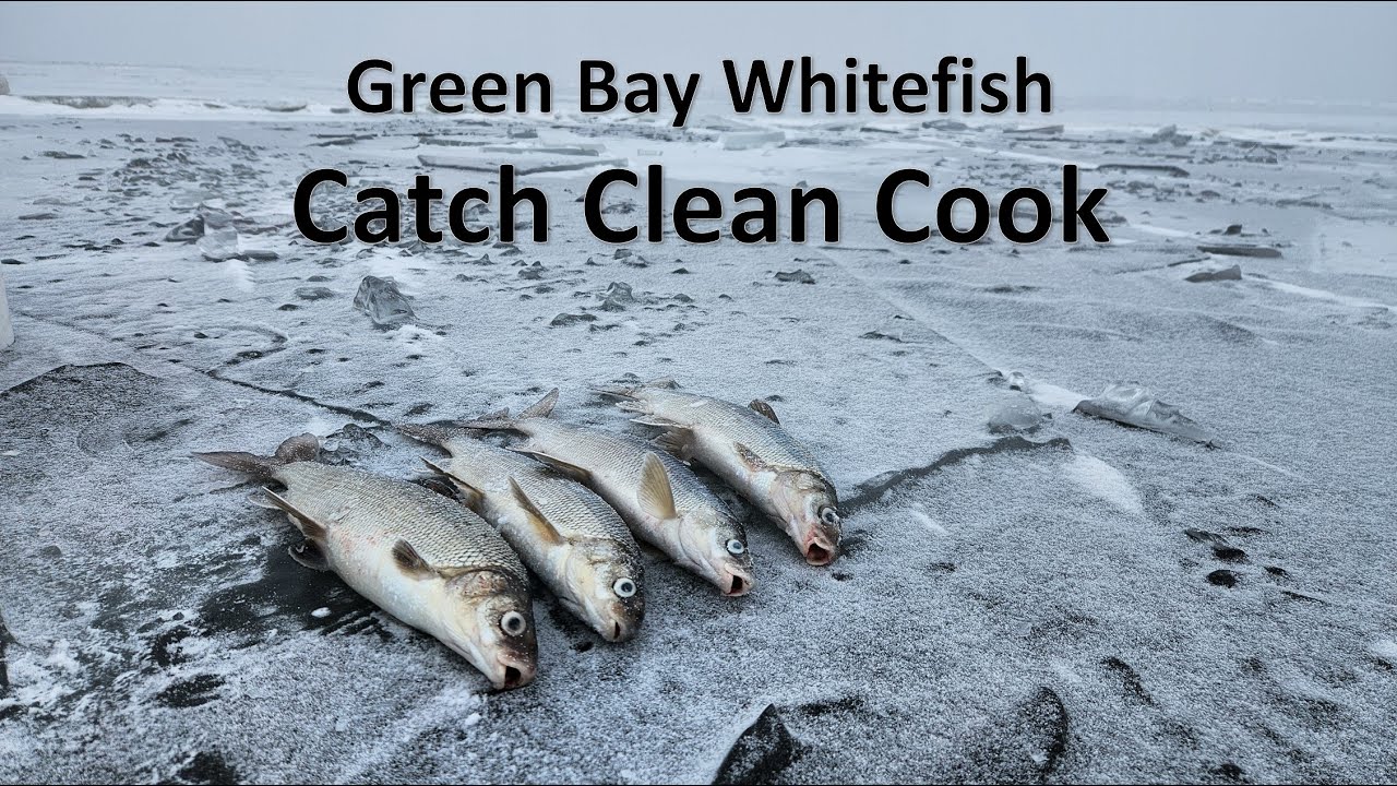 Catch Clean Cook with Green Bay Whitefish! 1-8-25 - YouTube