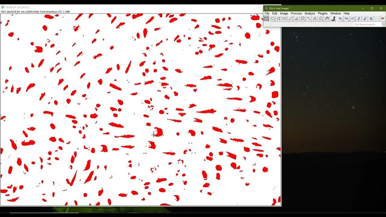 Analyze particles using FIJI Image-J - YouTube
