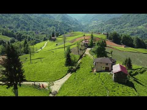 MEZERE Full HD 1080p 1 - YouTube