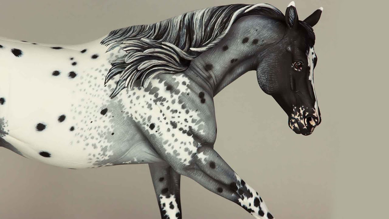 Semi Leopard Appaloosa