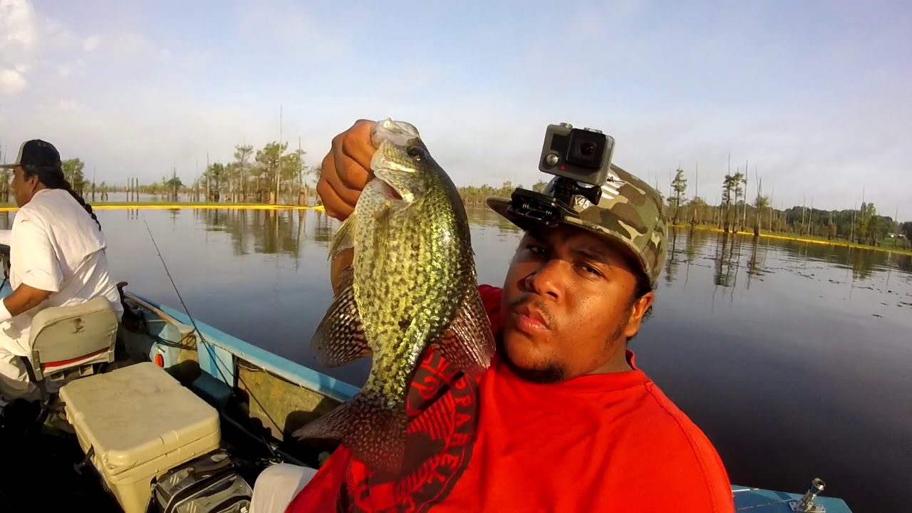 That one almost snapped my line! Crappie Fishing! @itsacrappielife ...