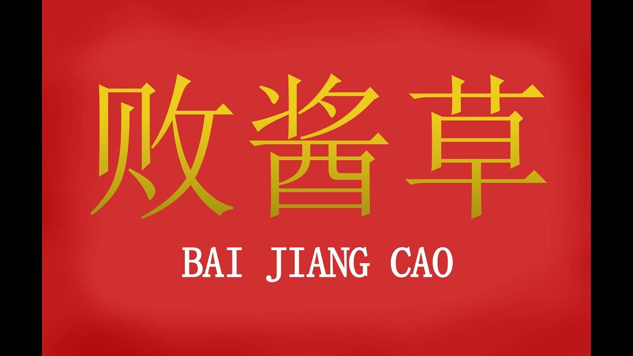 Bai jiang cao - WIELKI KATALOG ZIÓŁ CHIŃSKICH 21 🔴 - YouTube
