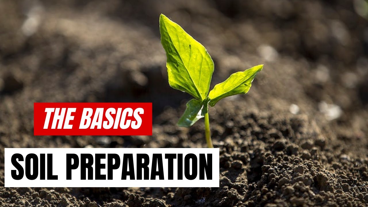 The Basics of Soil Preparation: Setting the Foundation for a ...