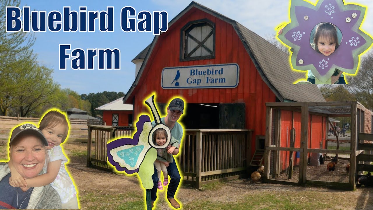 Bluebird Gap Farm Tour | Farm Animal Tour - YouTube