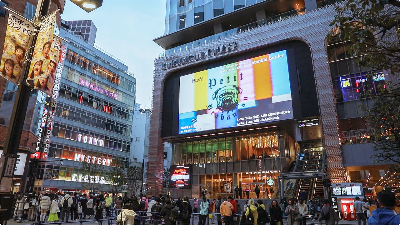 Petit Brabancon 「𝐚 𝐡𝐮𝐦𝐛𝐥𝐞 𝐛𝐨𝐫𝐝𝐞𝐫」ティザー放映 新宿 KABUKICHO TOWER VISION - YouTube
