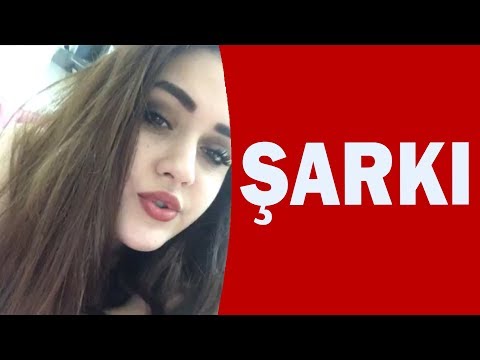 ŞARKI
