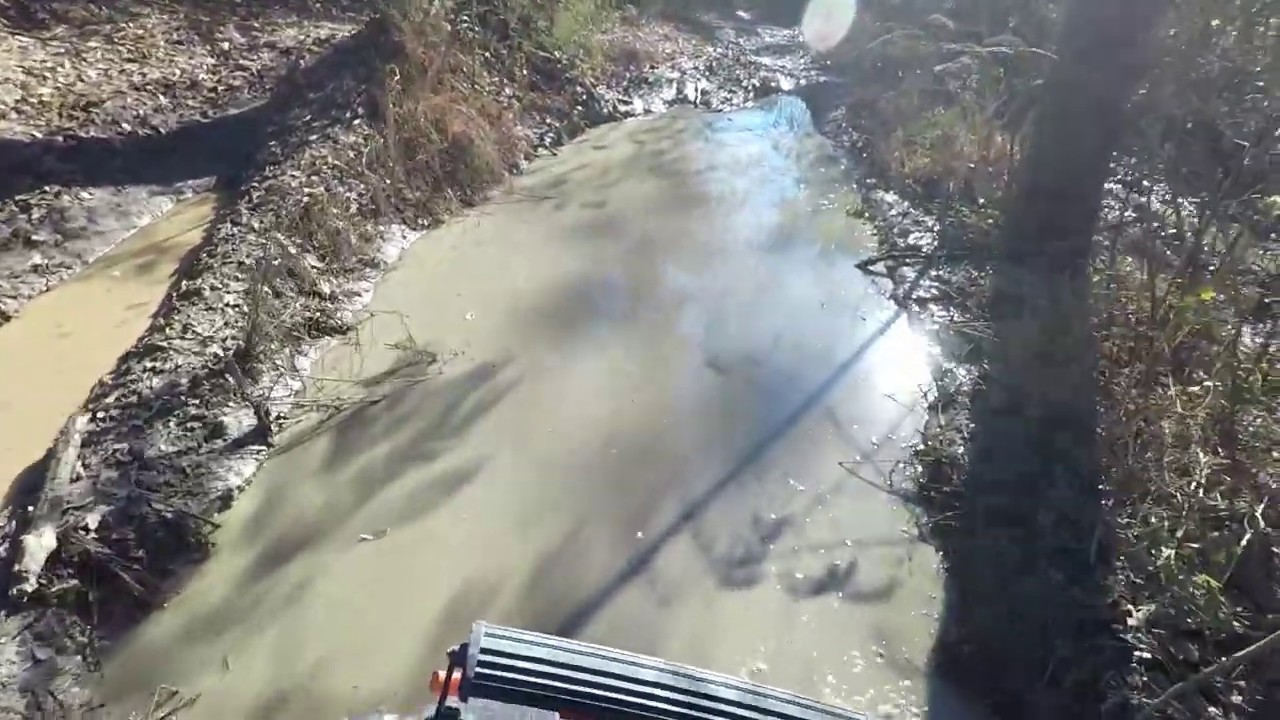 1st Annual Sugar Creek Fall Bog Part 1 - YouTube