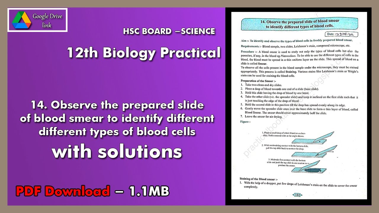 12th Biology Practical No.14 (B) [Science] ~Observe the prepared slide ...